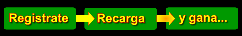 Champions Sport Book::.